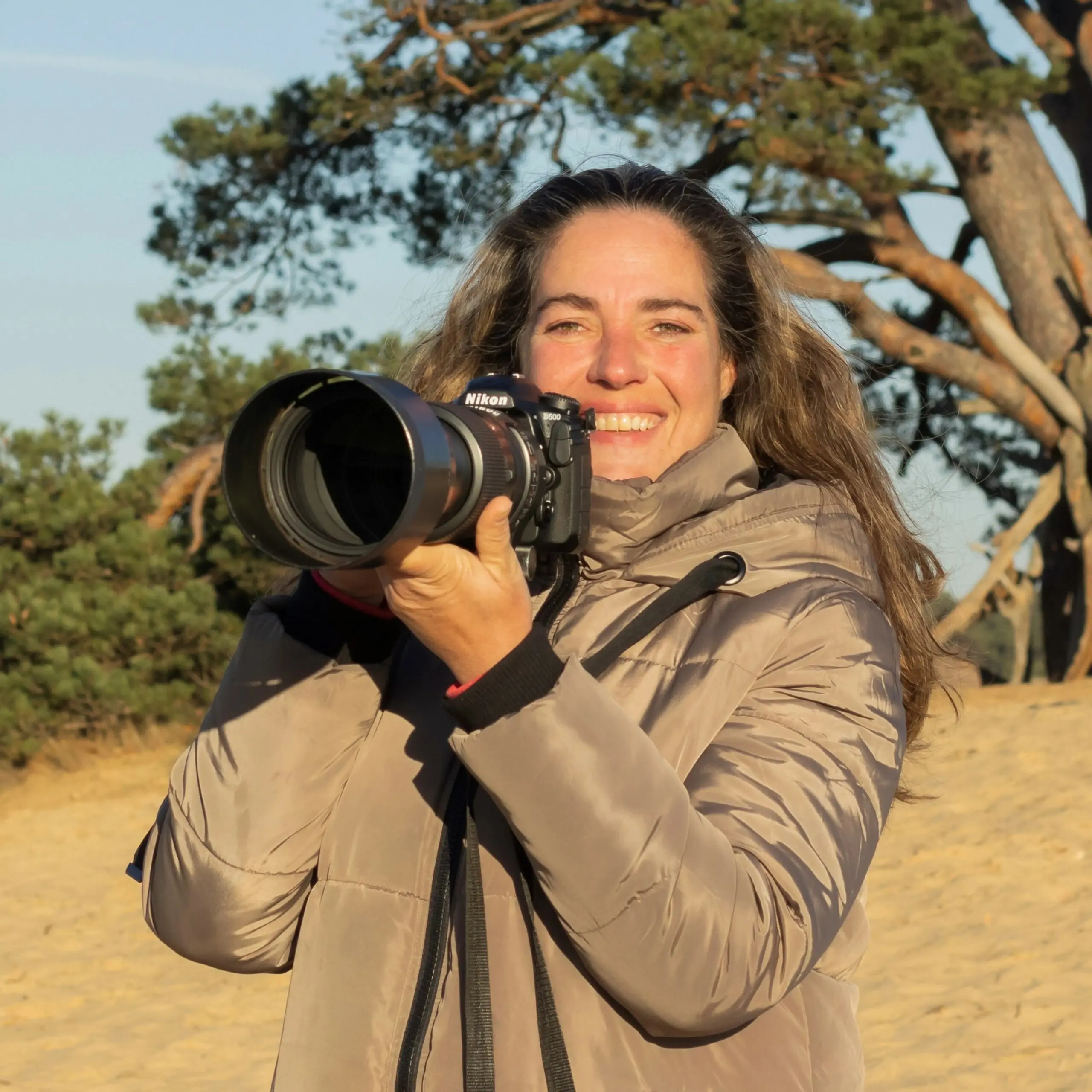 Winterse wolven | WildPixTravel.com