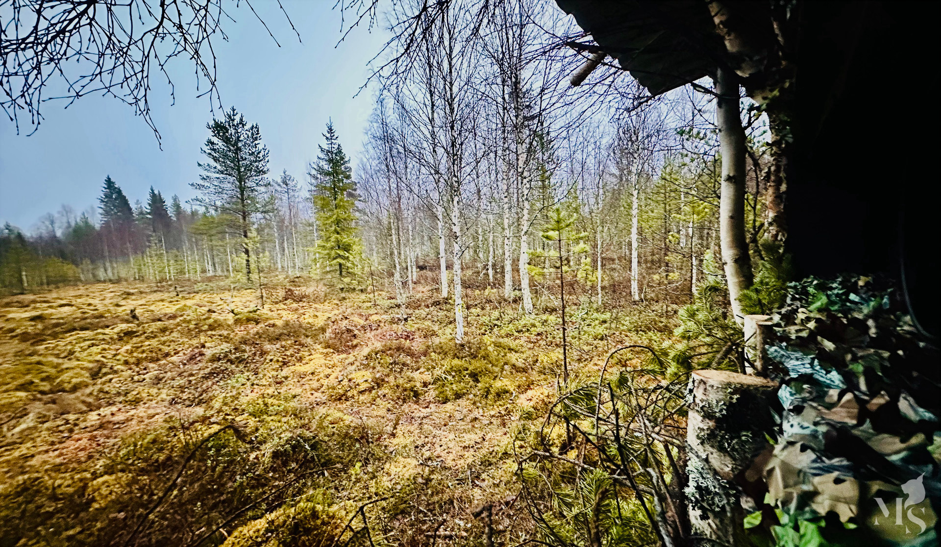 Fotohutten Finland - The forest hide | WildPixTravel.com